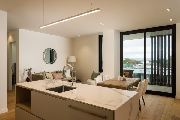 Thirty Eight Elizabeth Case Study | Insol